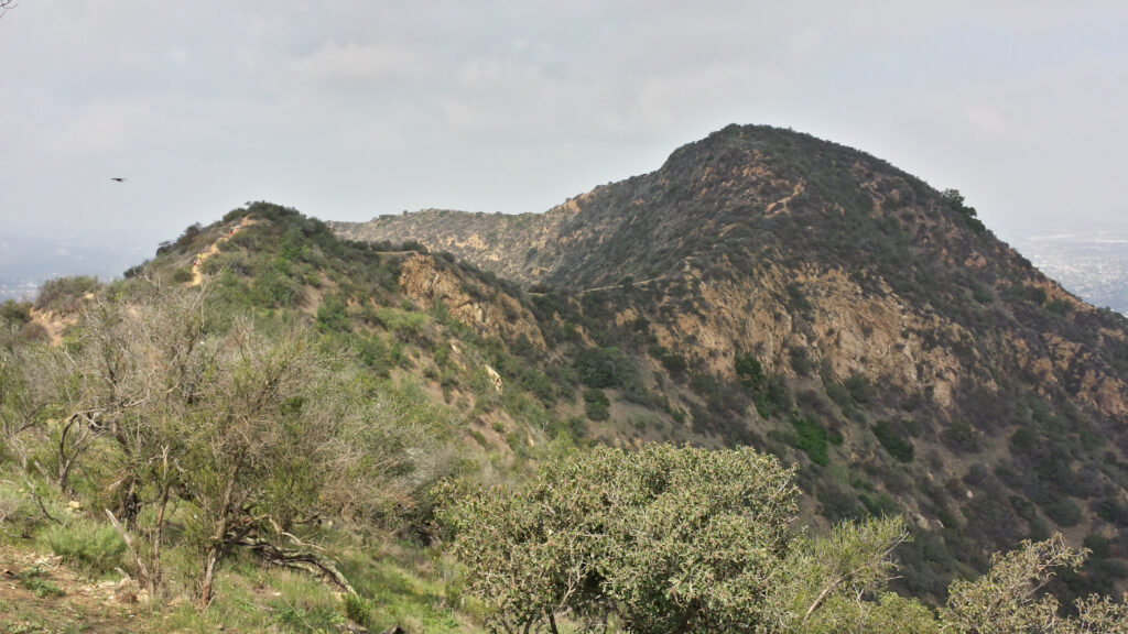 The Wisdom Tree, Cahuenga Peak & Hollywood Sign - Elemental Quests