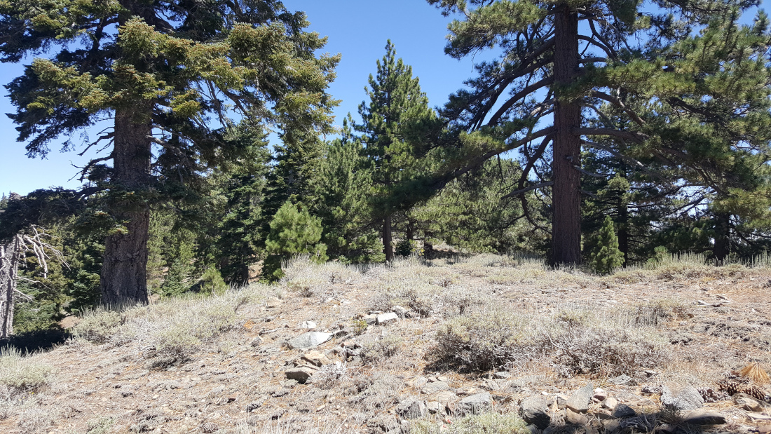 Wright Mountain (via Acorn Trail) - Elemental Quests