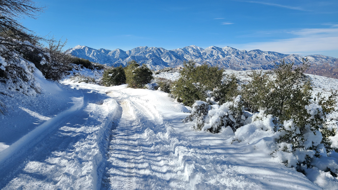 Cleghorn Mountain (via Cleghorn Mountain Road) - Elemental Quests